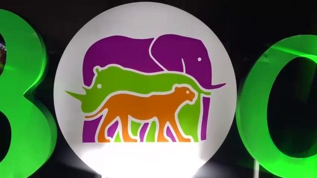 🎄 Новогодняя сказка в зоопарке!