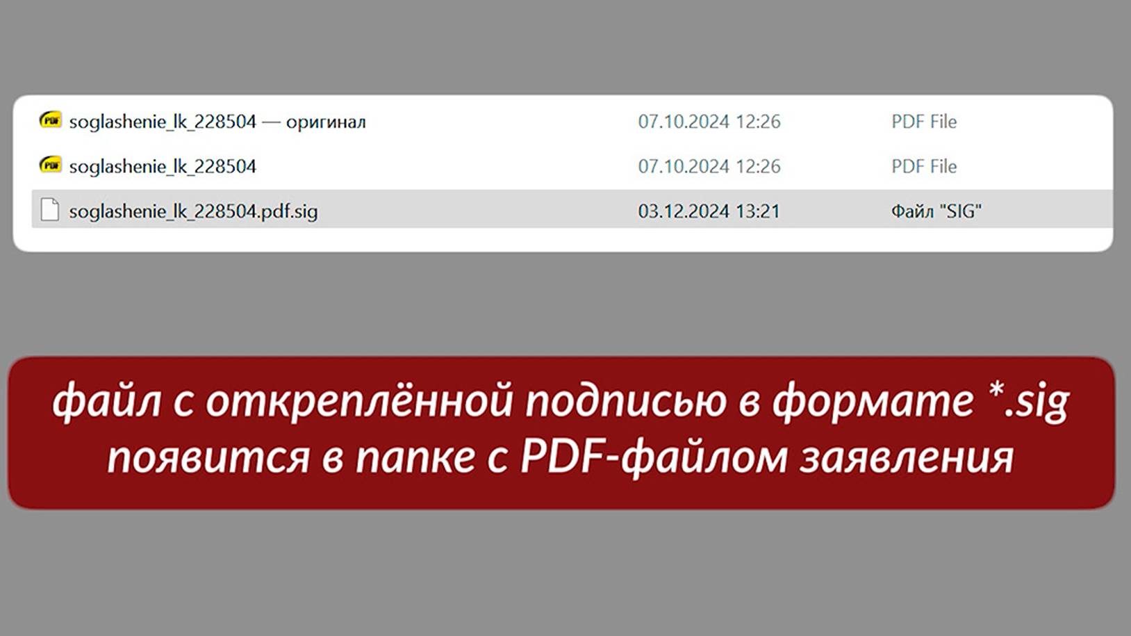 Как подписать квалифицированной электронной подписью (КЭП) заявление на ЛК физлица на портале АИС ТК