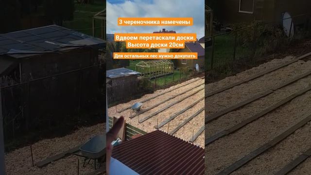 Строим питомник растений в СПб. специализация -хвойные