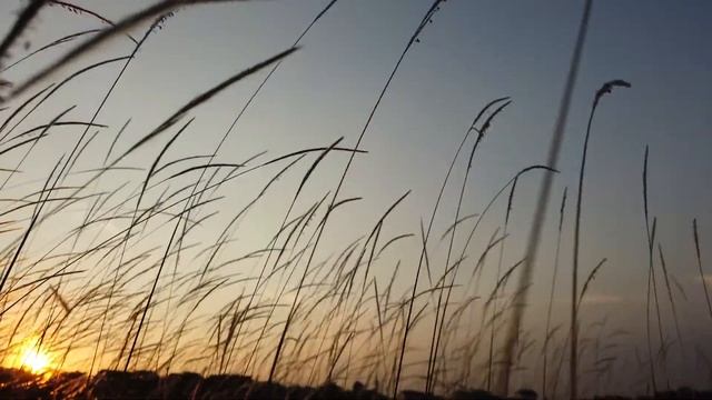 'Древлегорск' 'Святица' 'К тебе' 'Созвездие Большой Медведицы'