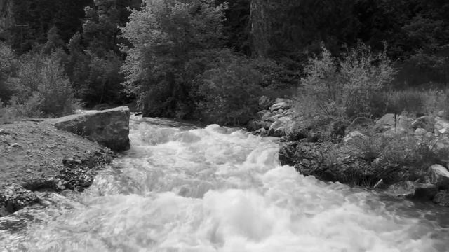 09. 09. Зинаида Миркина.  Оль,Ом,Эль.