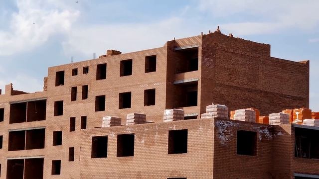 Голуби-Дезинфекция, Тренировка и Командировка. Pigeons-Disinfection, Training and Business Trip