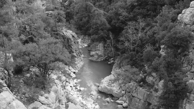 18. 18.Зинаида Миркина. Сказка о царевиче Сутасоме