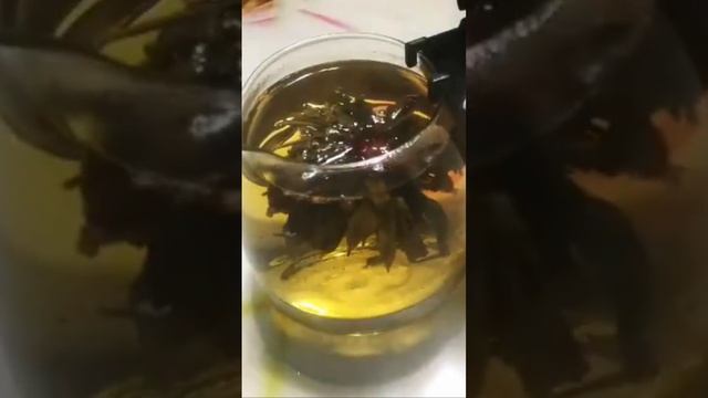 Чайный цветок пробуждает с утра