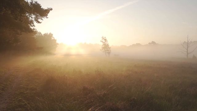 'Древлегорск' 'Святица' 'К тебе' 'Ивушкина колыбель' / Иней студио