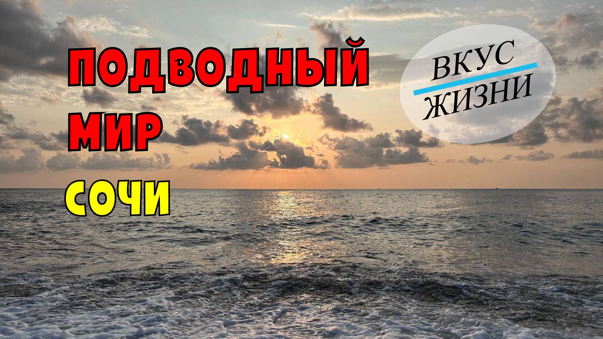 Подводный мир Сочи / дельфинарий / аквианариум / Сочи / Адлер / путешествия / отдых / туры