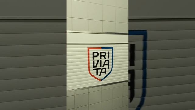 Рольставни с рисунком | Alumdevelop #рольставни #роллеты  #рольставнисрисунком #alumdevelop