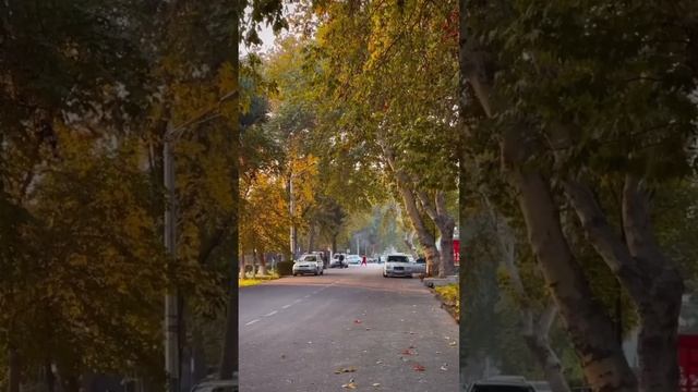 Ленинабад ныне город Худжанд Согдийская область Таджикистан ...