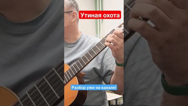 Утиная охота на гитаре #guitar #розенбаум