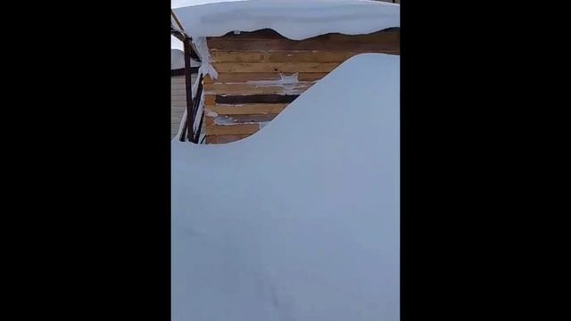 #Павловка #сегодня 24 декабря 2024 очень много снега этой зимой