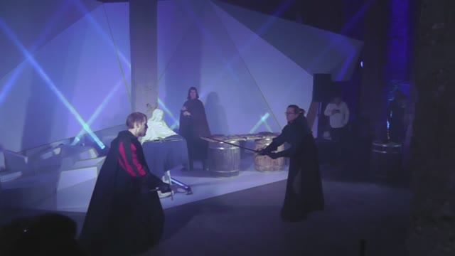 Артистическое фехтование "Мордор против Гондора"/ Выездные мастер-классы