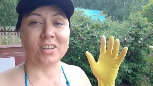 Наши секреты хорошего урожая клубники и огурцов. После свадьбы на дачу!