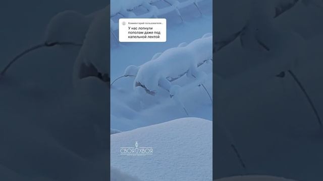 как зимуют дуги из стеклоарматуры