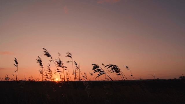 'Древлегорск' 'Святица' '17 лет' 'Взлетающий свет' / Иней студио