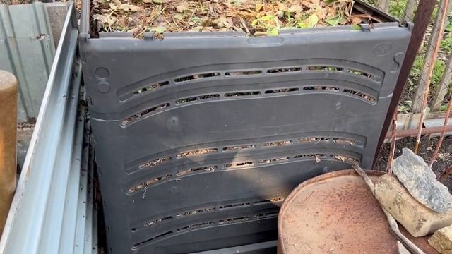 Вчера посадили помидоры, а сегодня их нет! Муж не зря сделал гробы. Мой сад, моя дача