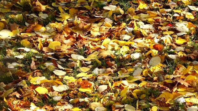 02. 02.  Зинаида Миркина.  Избранное.