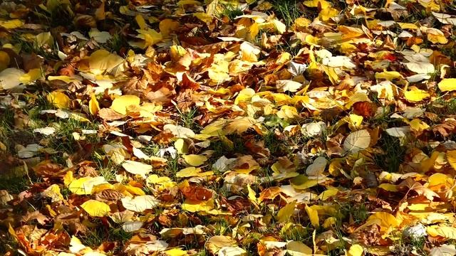 03. 03.  Зинаида Миркина.  Избранное.