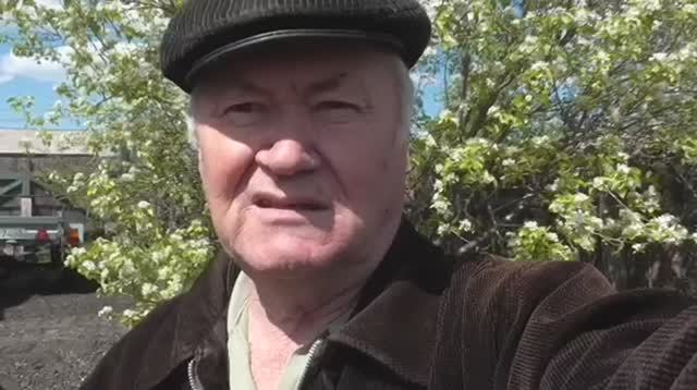 Борьба с муравьями весной