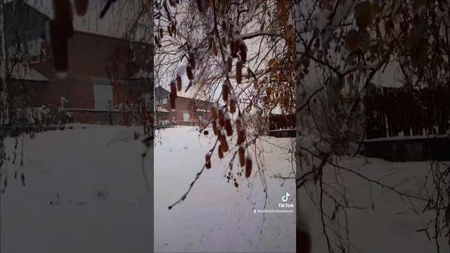 НОВОГОДНЕЕ НАСТРОЕНИЕ 2025!