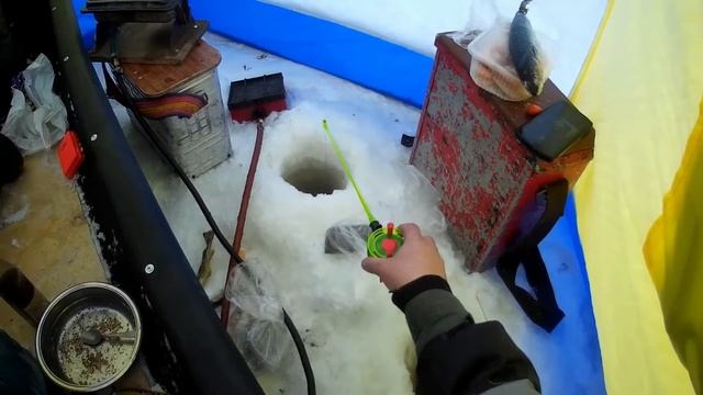 ловим навагу  Белое море, Вейга | зимняя рыбалка 2021