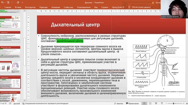 Физиология дыхания