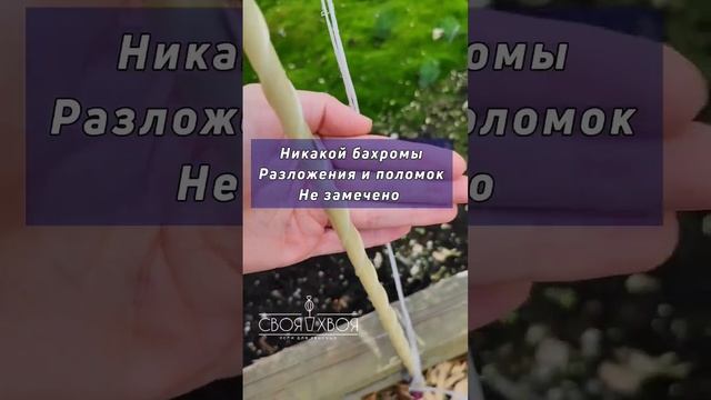 Стеклоарматура для парника: да или нет?