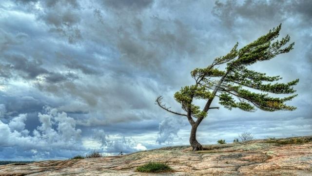 Звуки Сильного Порывистого Ветра Перед Дождем. Шум Сильного Ветра