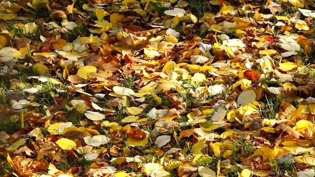 05. 05.  Зинаида Миркина.  Избранное.