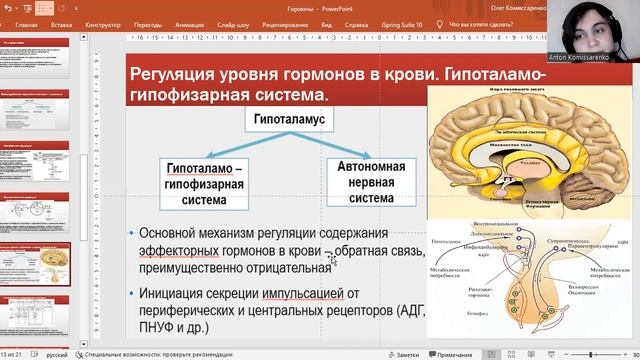 Гормоны, гипоталамо-гипофизарная система, функции надпочечников, щитовидной и поджелудочной желез