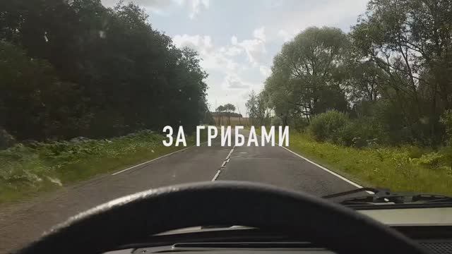 0083_ЗА ГРИБАМИ