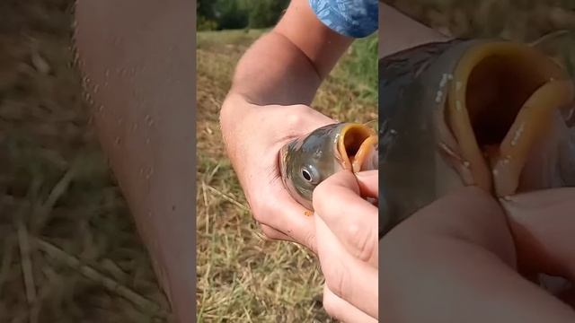 Попался маленький