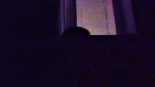 вызываем человека за окном.