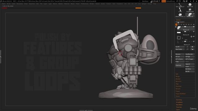 18. Polish and Group Loops
