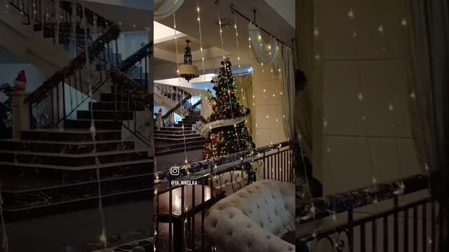 Елка со змеей в Горизонте