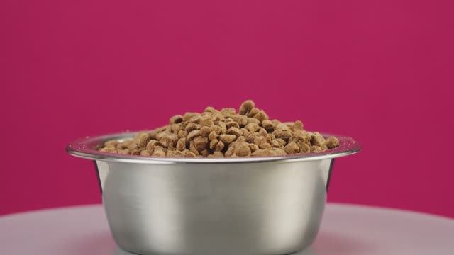 🐕 Выбор бренда корма в Грузии: на что обратить внимание?