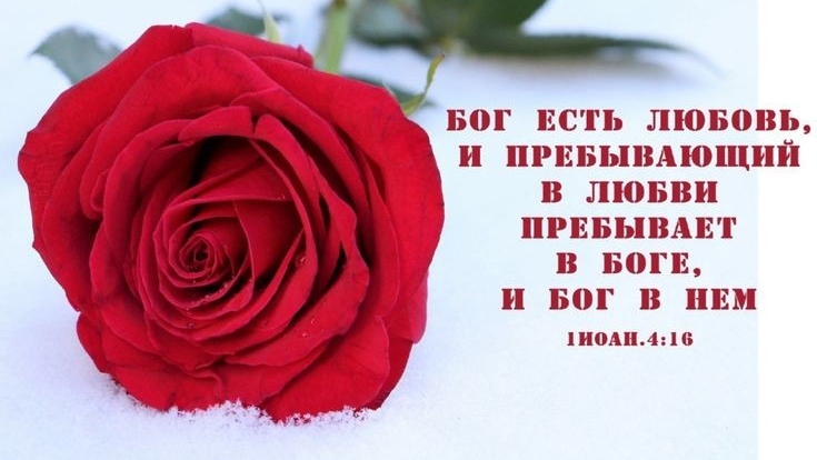 Любовь растопит все снега 🙏💕 | христианский стих