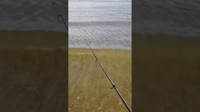 Рыбалка на р. Обь. Одна из тренировок в п. Огурцово, ловим язя на филер.