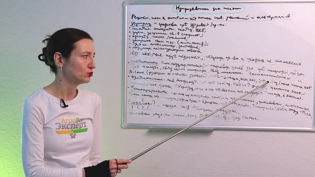 Нутрицевтики для телят