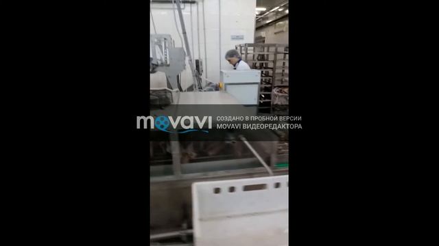 Глазировщик для рыбы оросительного типа ГЛВ-900 / 6281915@mail.ru / Пищевое Оборудование РФ