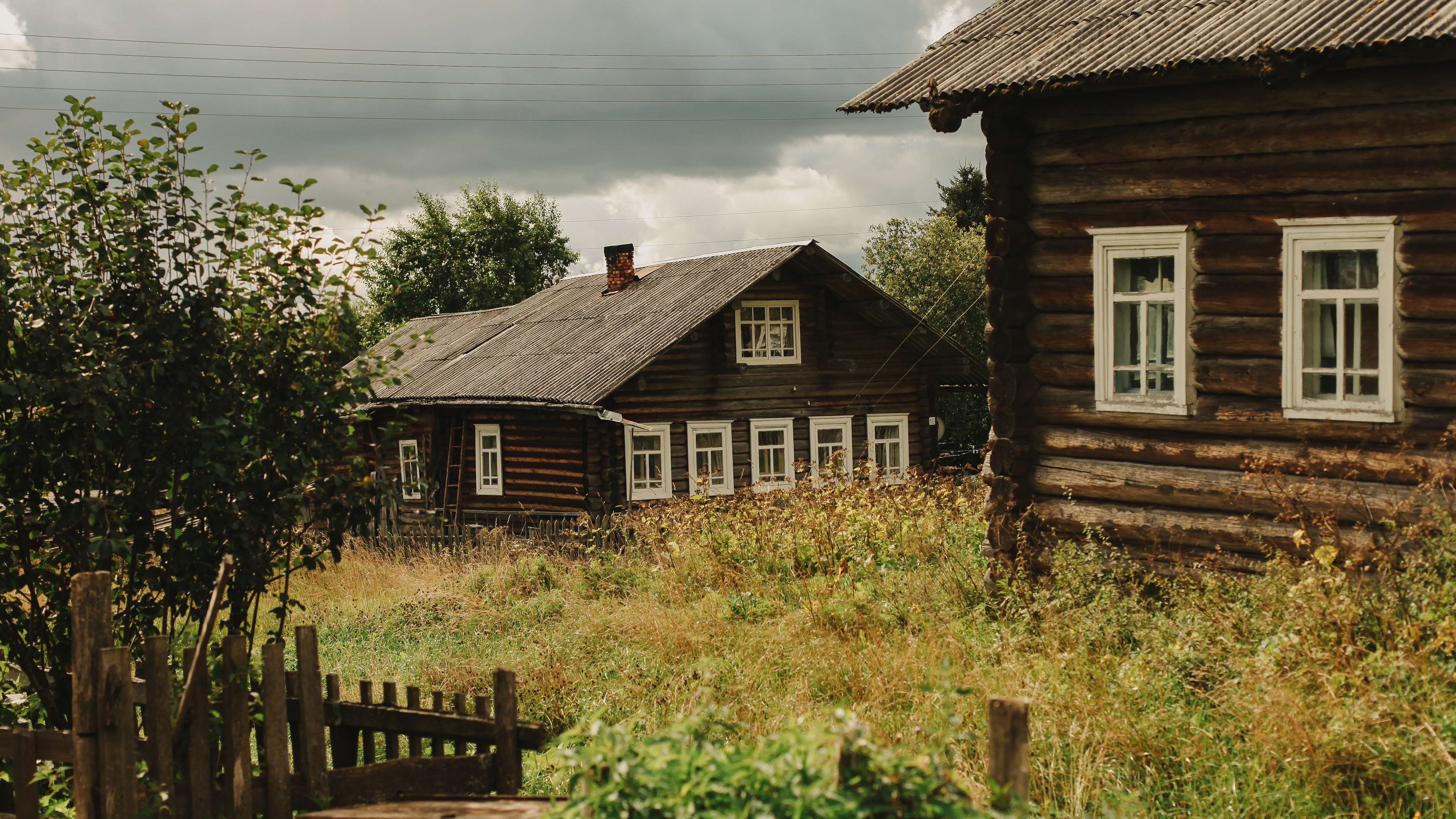 По лугам зелёным