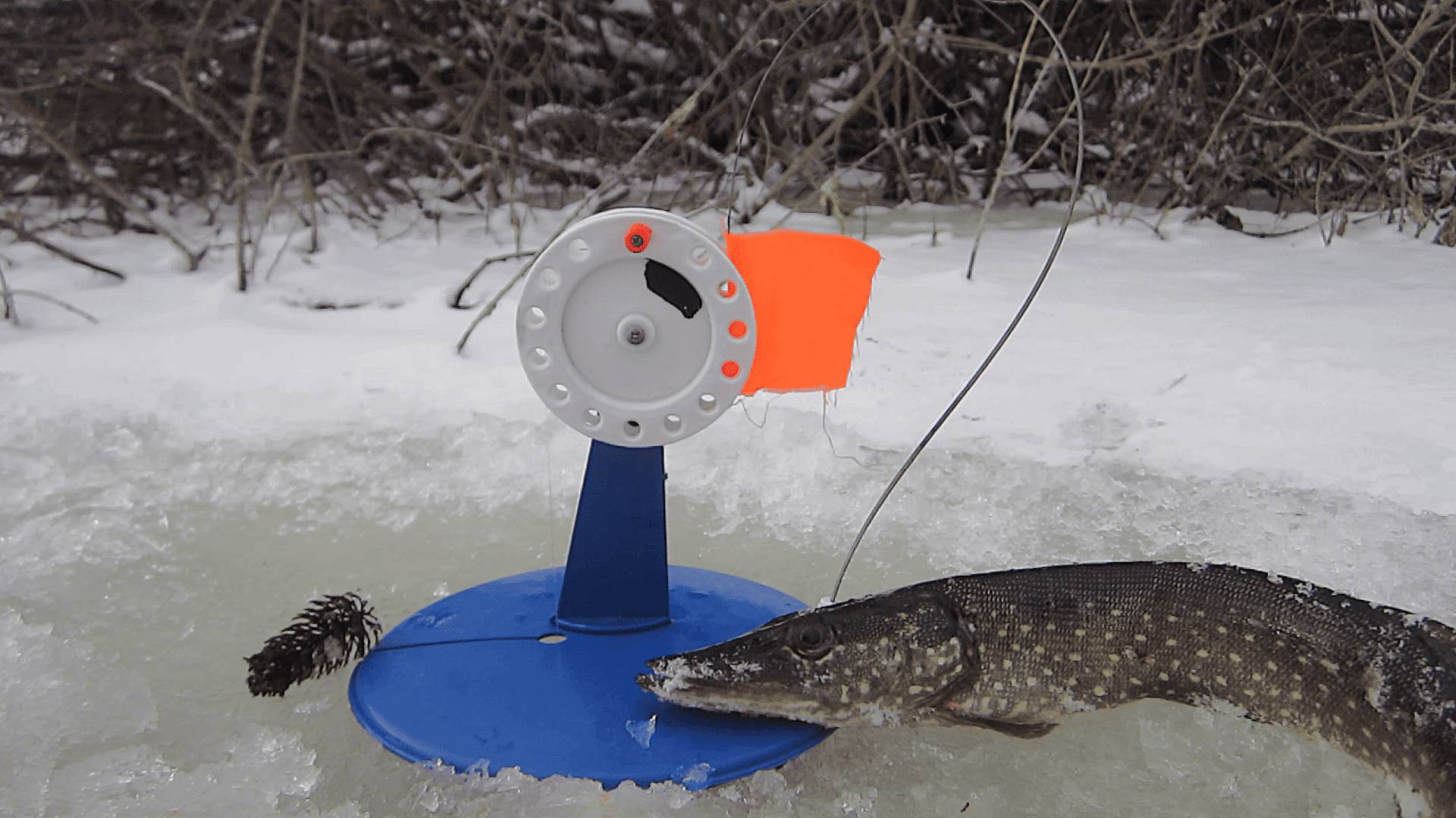 РАССТАВИЛ ЖЕРЛИЦЫ У КАМЫША И.... ПОНЕСЛОСЬ.  ЗИМНЯЯ РЫБАЛКА НА РЕКЕ 2025.