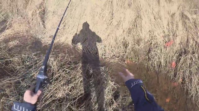 осторожно клещи 2023!