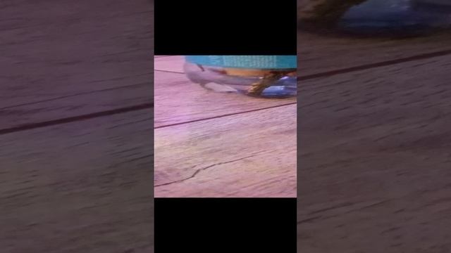 ёлочка нарядная
красивая ёлочка 🎄 с новым годом 🎄 вас
дети ! -2024-2025 ура!🥳