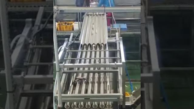 Сортировка валковая для рыбы СОРТ-7  / 6281915@mail.ru / Пищевое Оборудование РФ