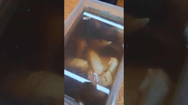 Куриные крылья горячего копчения. Самойлов крафт, крафтовые колбасы Самойлова.