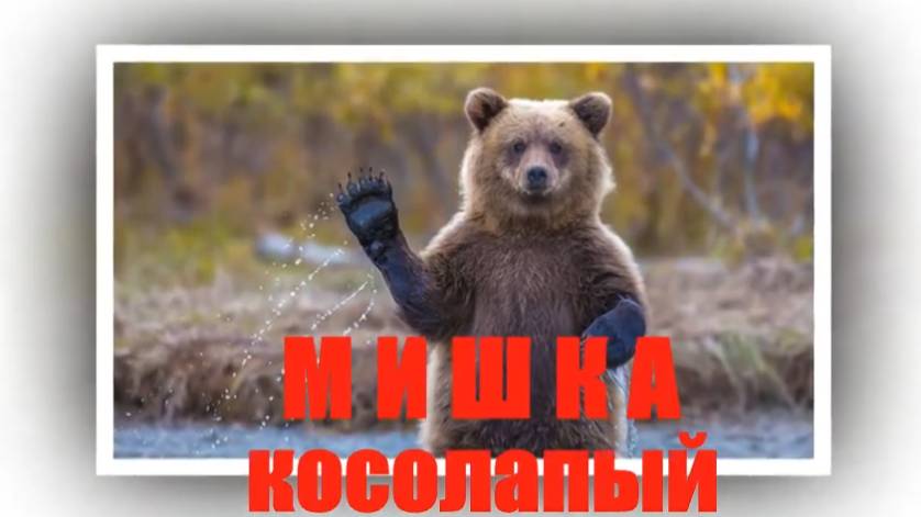 МИШКА КОСОЛАПЫЙ - занятие по развитию вербального интеллекта.