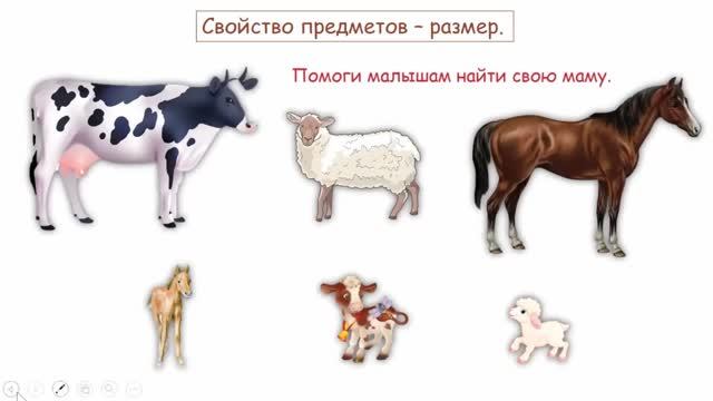 Подготовка к школе. Занятие 3. Свойство предметов - размер.