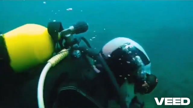 Дайвинг в Лазаревском