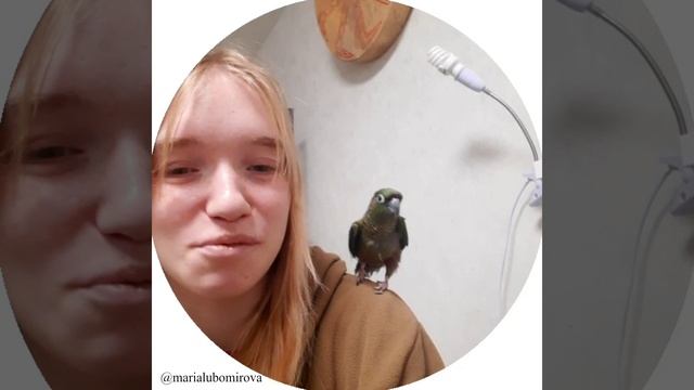 Попугай - это любовь!