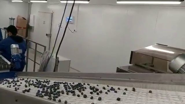 Конвейер инспекции КИ-6000  / 6281915@mail.ru / Пищевое Оборудование РФ